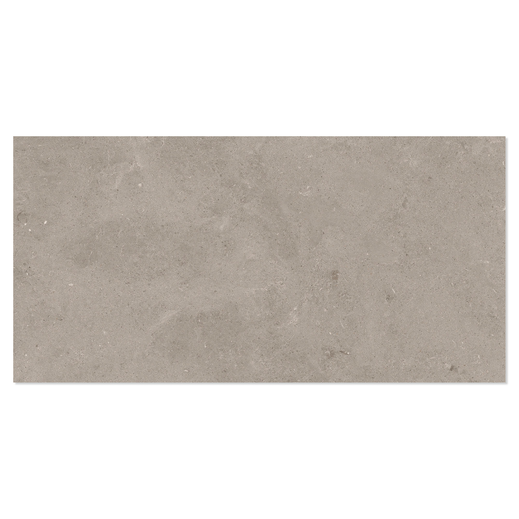 Marmor Klinker Arento Ljusbrun Matt 60x120 cm | Hill Ceramic®